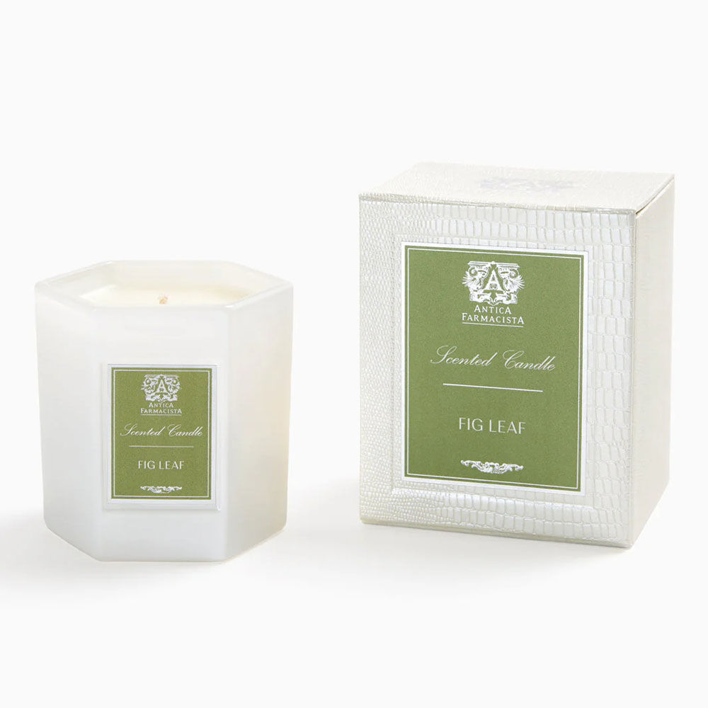 fig leaf candle