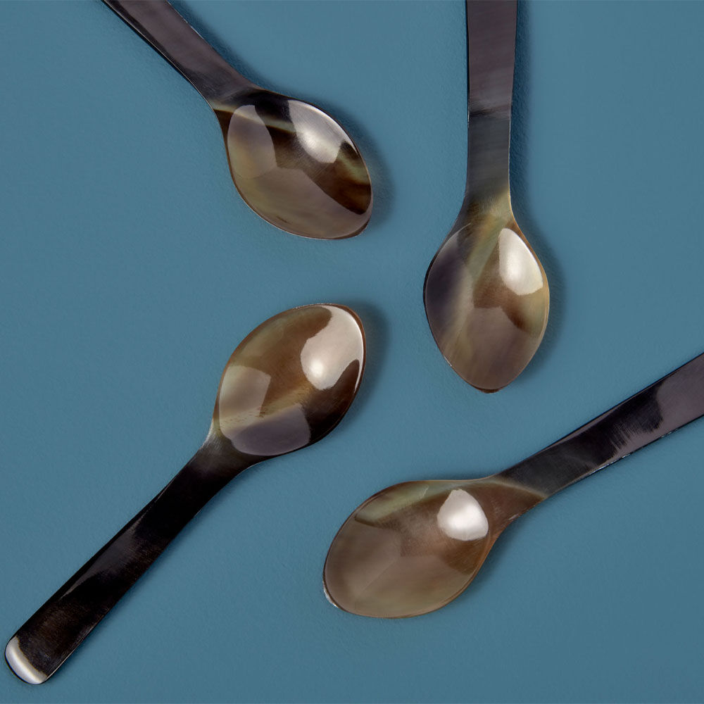 horn spoon set